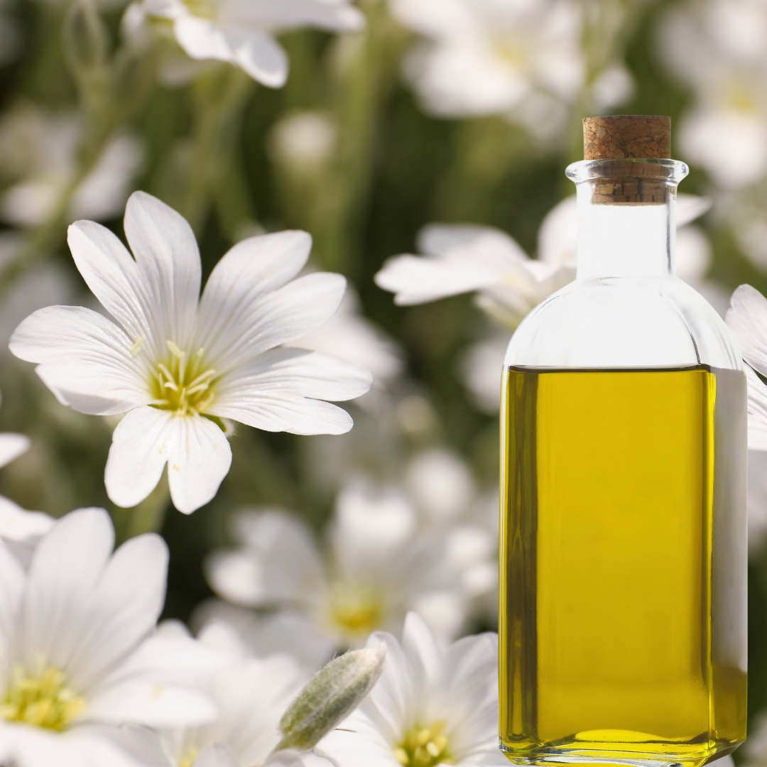 Meadowfoam Carrier Oil – EZ Elements