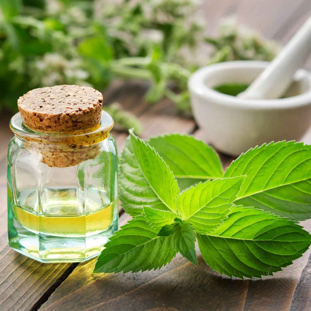 Peppermint (Japanese) Essential Oil – EZ Elements