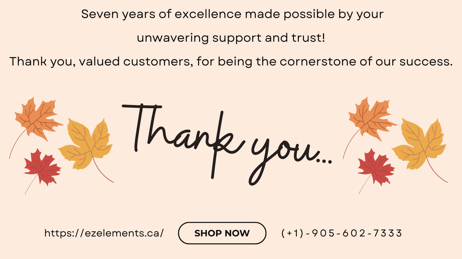 EZ Elements - Premium Essential & Carrier Oils | Pure Quality